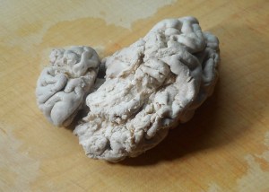 Gebackenes Kalbshirn | Herr Peschka kocht ...