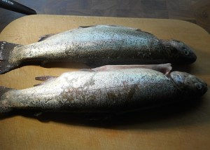 Feine Fischsuppe mit Safran (inkl. hausgemachter Fischsud) | Herr ...